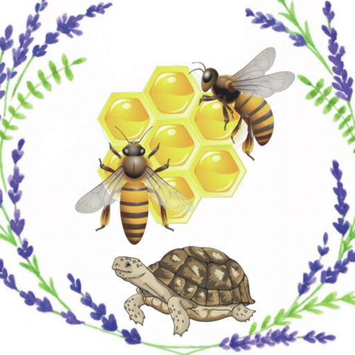 Honey Bee Swarms – Turtle Bee Honey